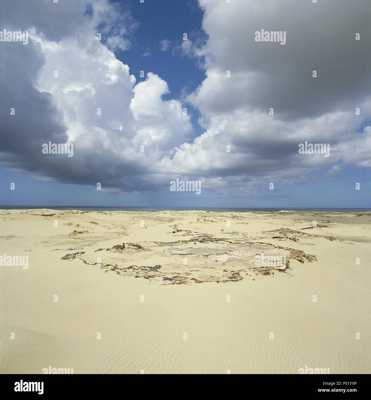 New Zealand. Volcanic rocks on beach in North Auckland Peninsula Stock ...