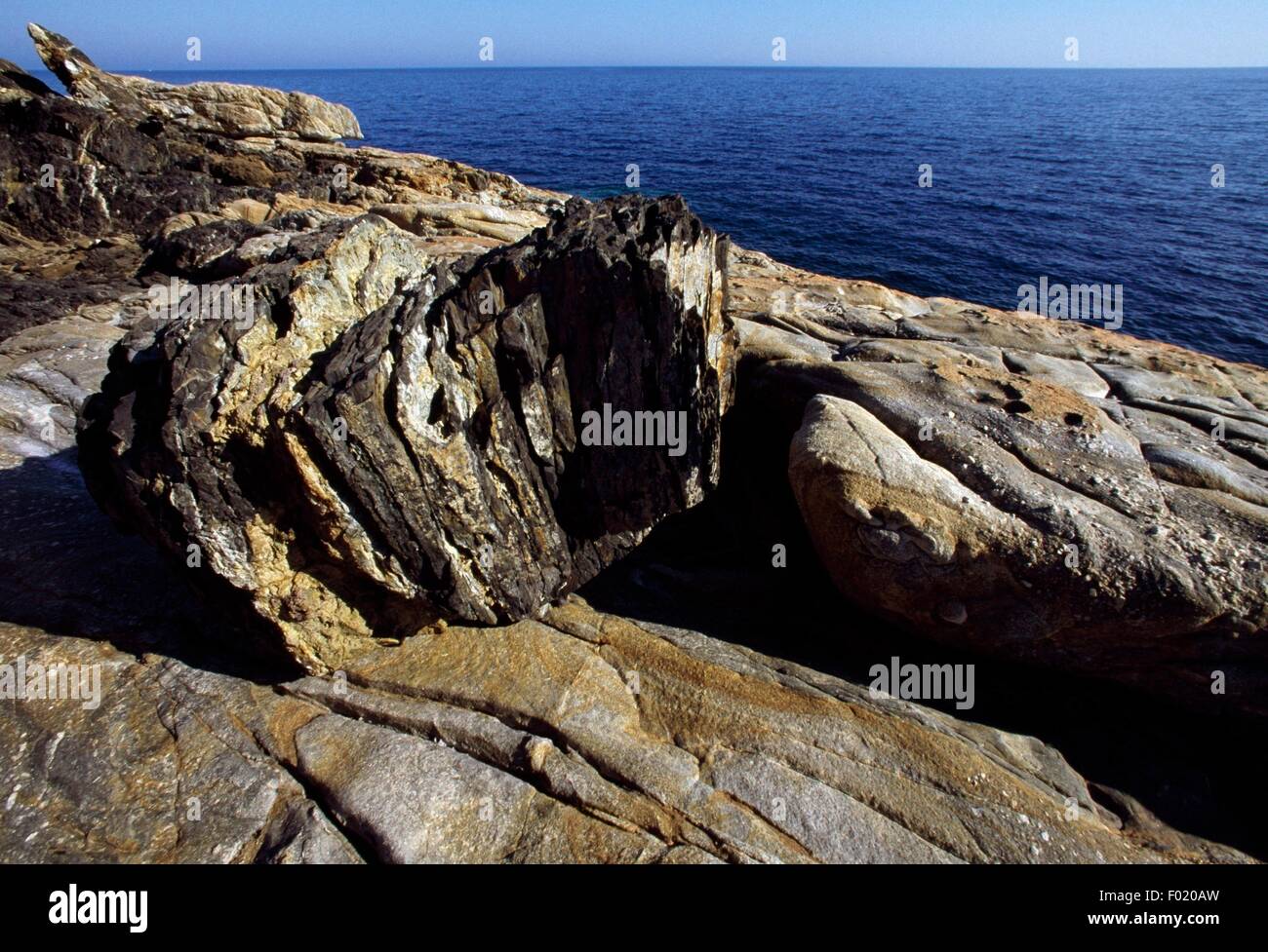 Rocky coast, Punta Rossa, Montecristo, Arcipelago Toscano National Park ...