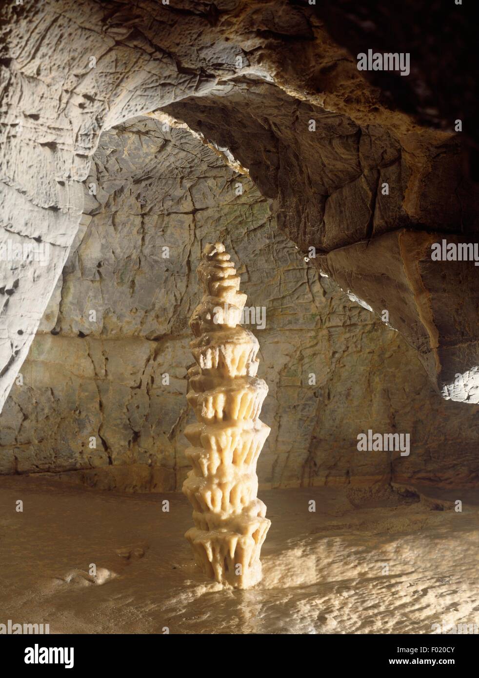 Tower of Pisa stalagmite, Toirano Caves, Liguria, Italy Stock Photo - Alamy