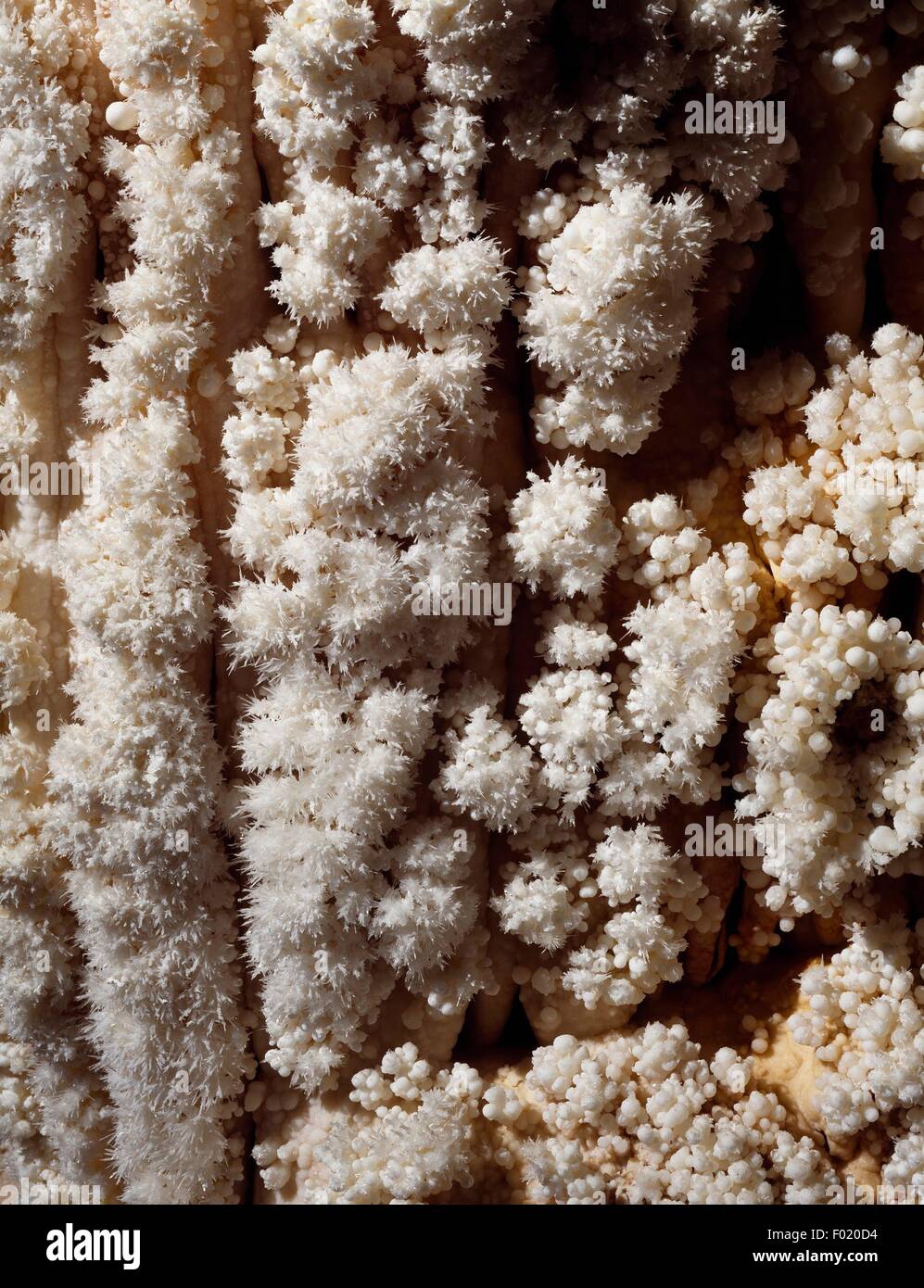 Needle-like aragonite crystals, Toirano Caves. Liguria, Italy Stock ...