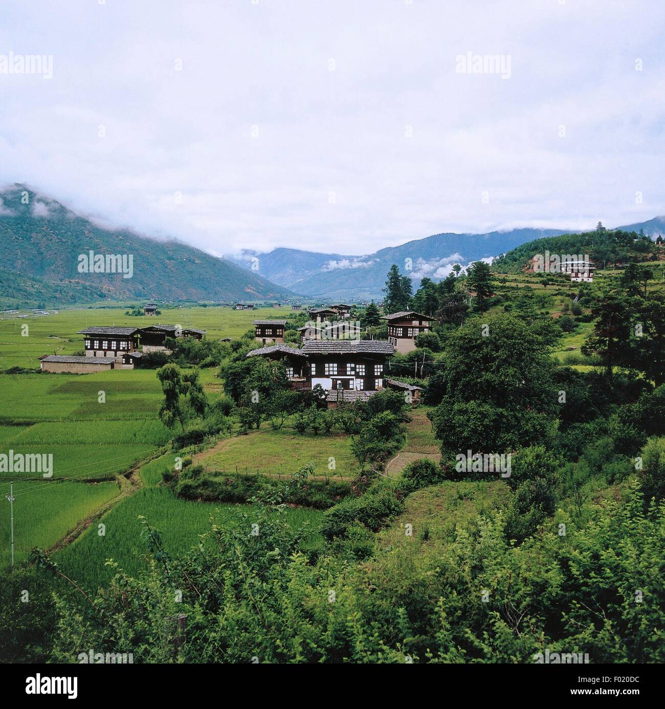 Paro square hi-res stock photography and images - Alamy