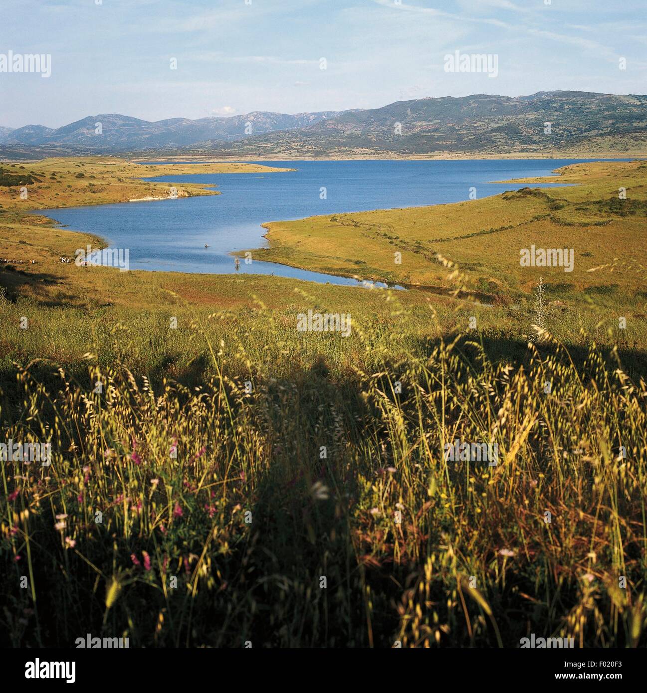 Lake Omodeo, reservoir, Sardinia, Italy Stock Photo - Alamy
