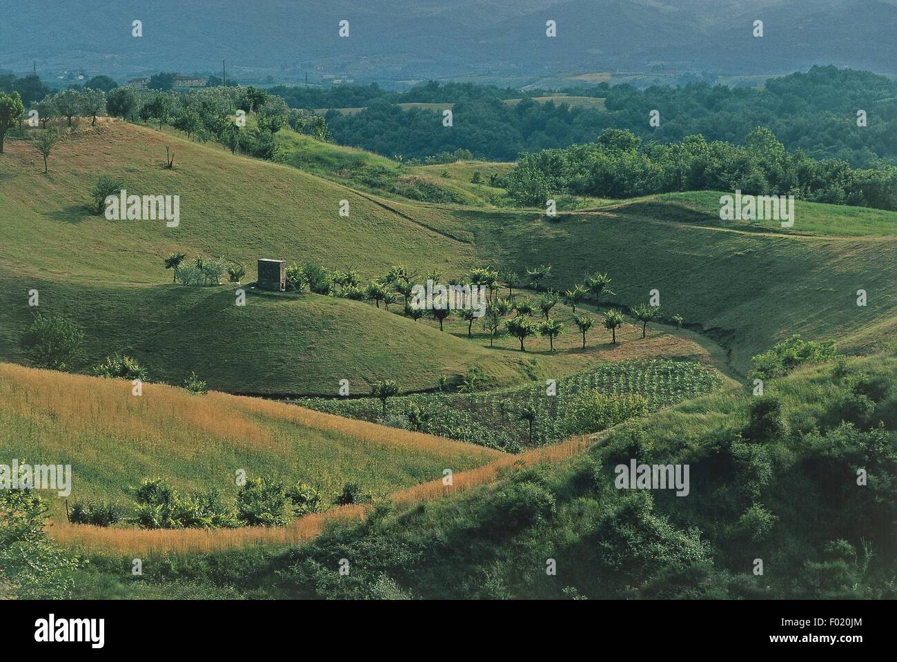 Valdarno Region High Resolution Stock Photography and Images - Alamy
