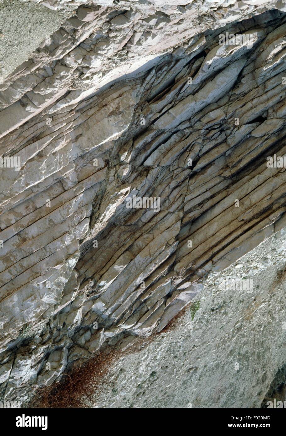 Mesozoic limestone strata of Mount Conero (572 m), Regional Natural ...