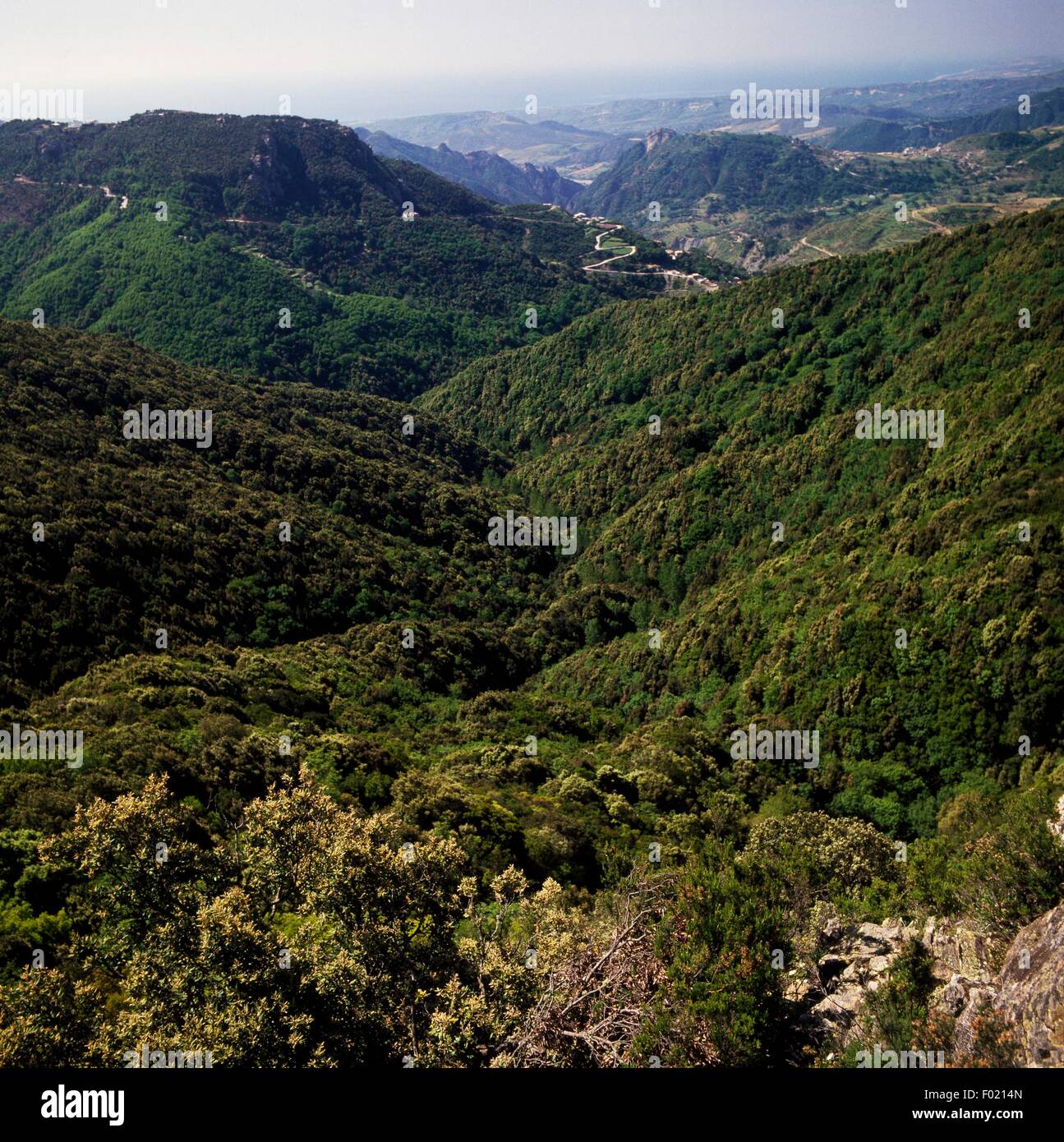 Landscape near the Passo del Mercante, Aspromonte National Park ...