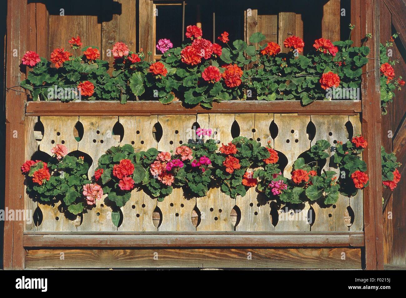Balcony with flowers, Val Badia, Trentino-Alto Adige, Italy Stock Photo ...