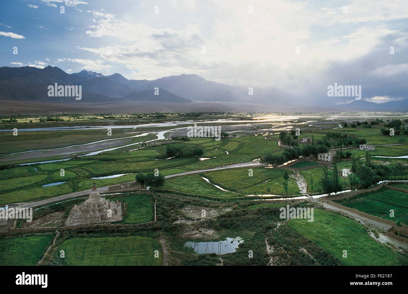 Crops in the Indus Valley, Ladakh, India Stock Photo - Alamy