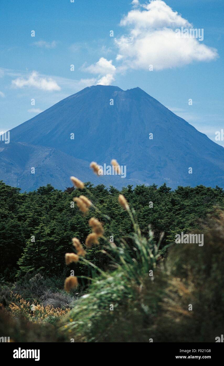 Ngauruhoe Volcano, Tongariro National Park (UNESCO World Heritage List ...