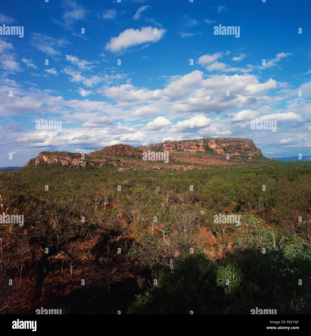Mount Brockman, Arnhem Land, Northern Territory, Australia Stock Photo ...