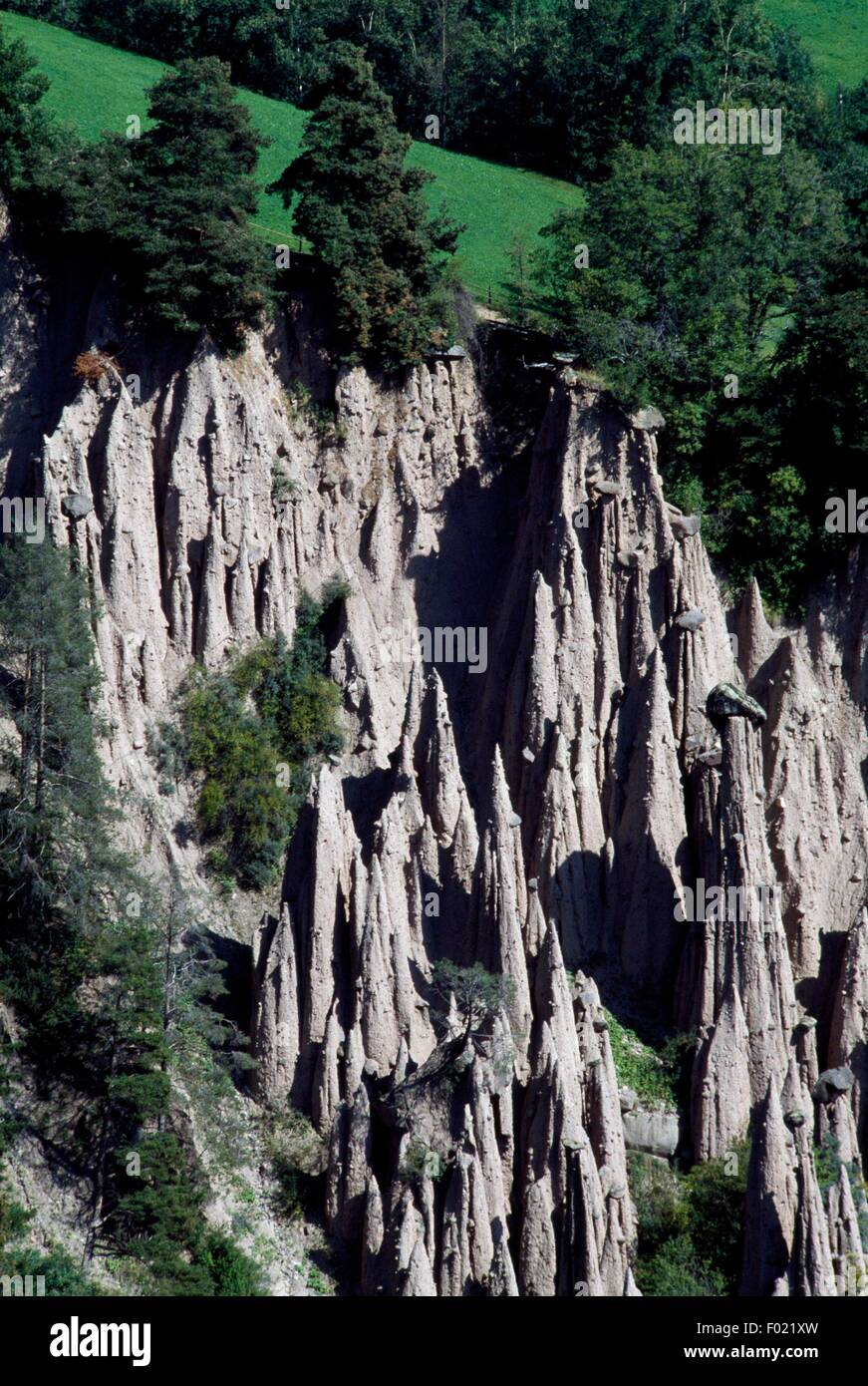 The Earth Pyramids on Renon plateau, Trentino-Alto Adige, Italy Stock ...