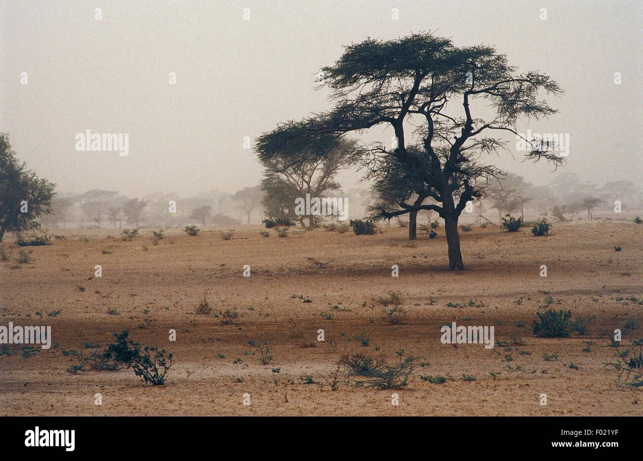 Weather in senegal hi-res stock photography and images - Alamy