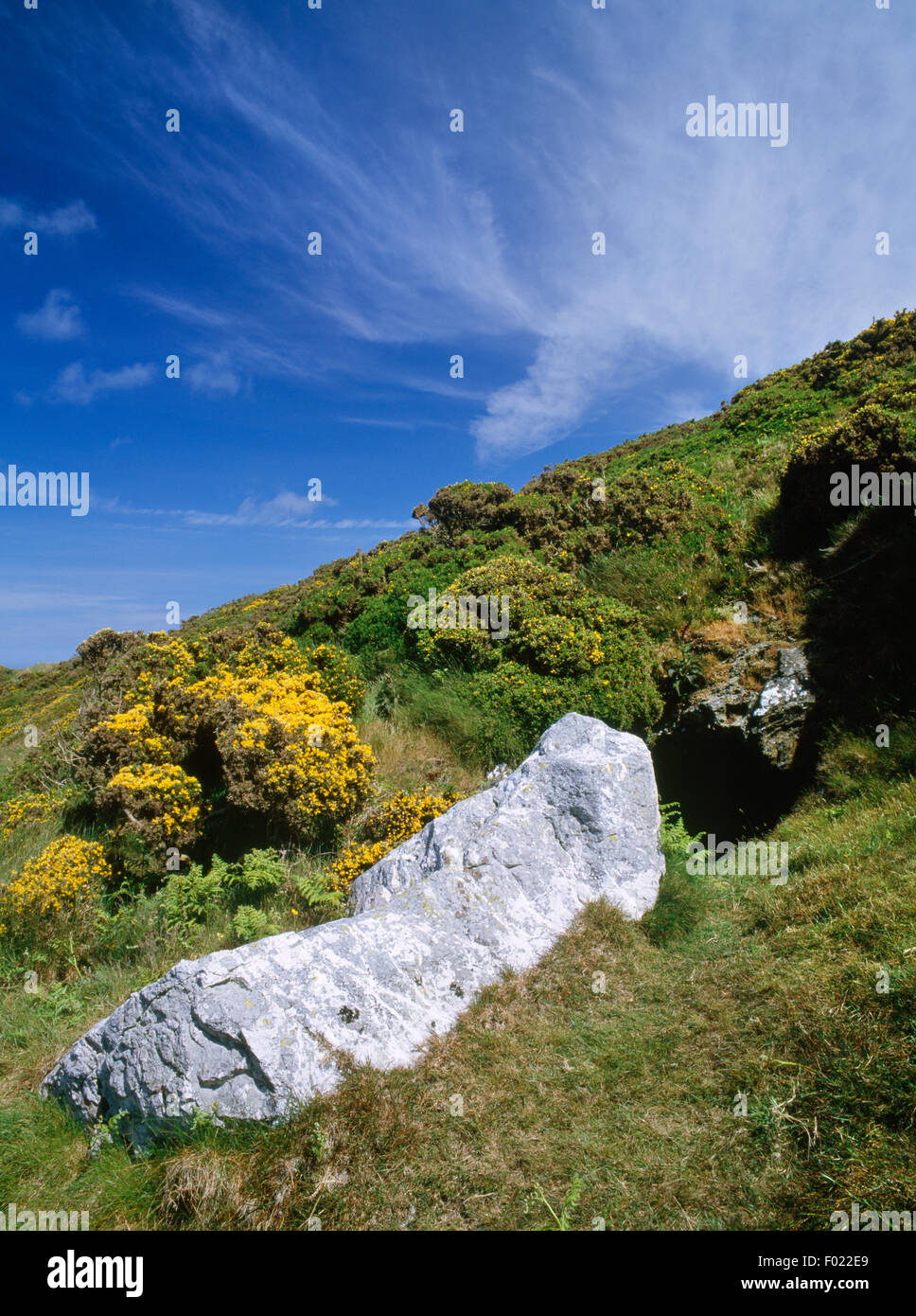 Entrance to cave on the W slope of Mynydd Enlli, Bardsey Island, used ...