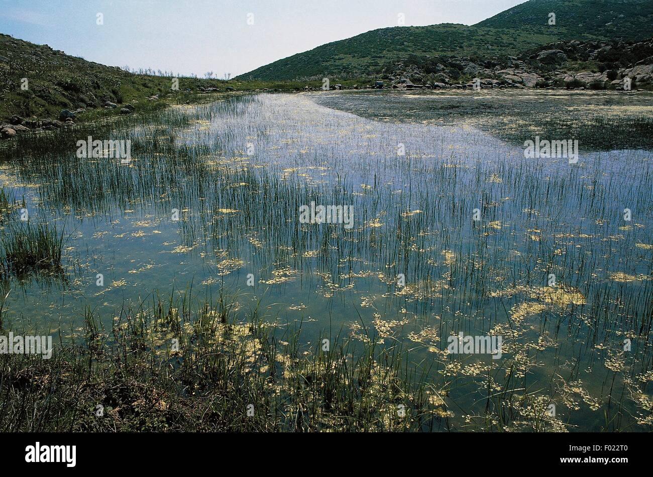 Stagnone Lake, Capraia Island, Tuscan Archipelago National Park ...