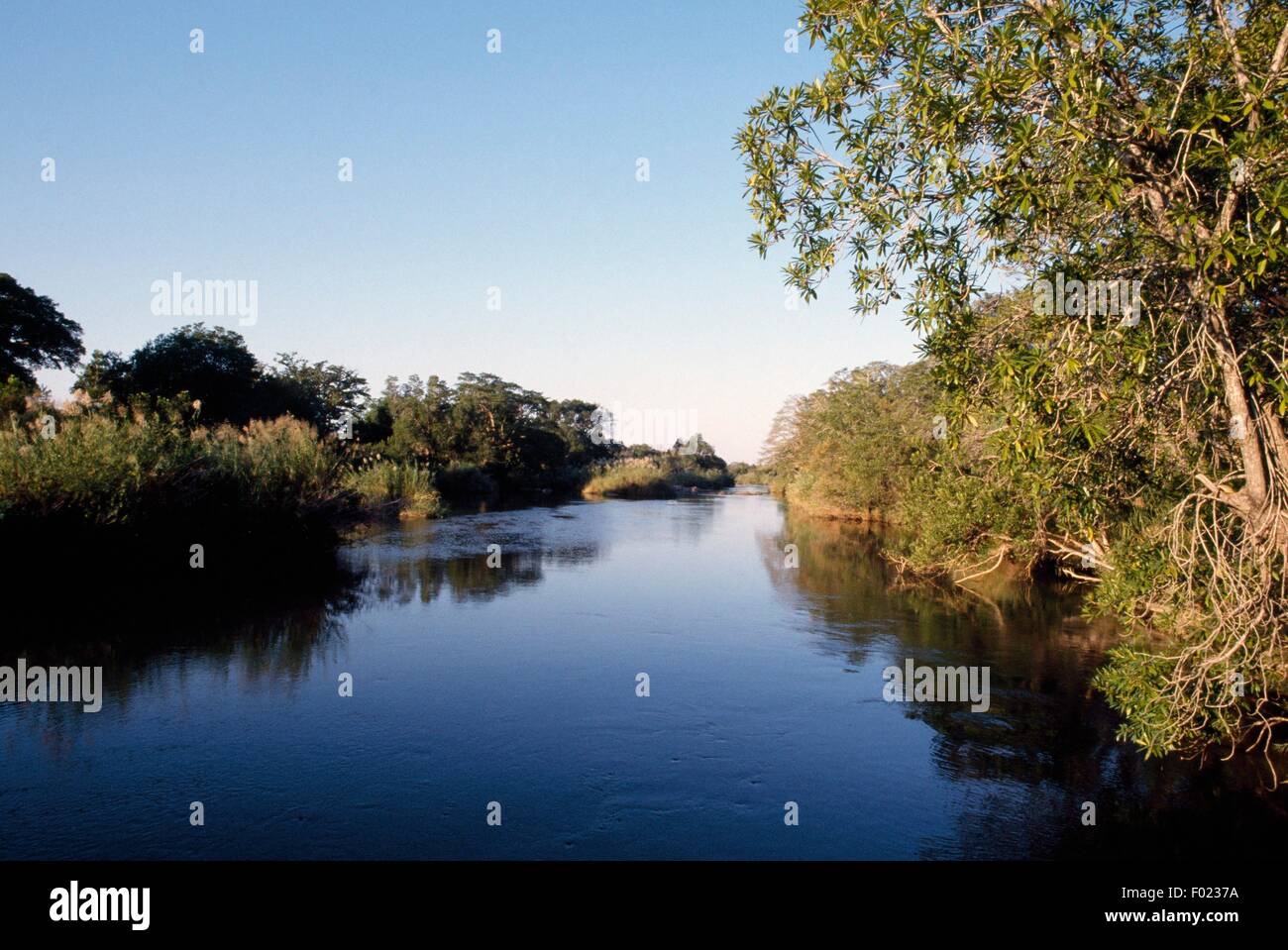 Sabie River, Kruger National Park, South Africa Stock Photo - Alamy