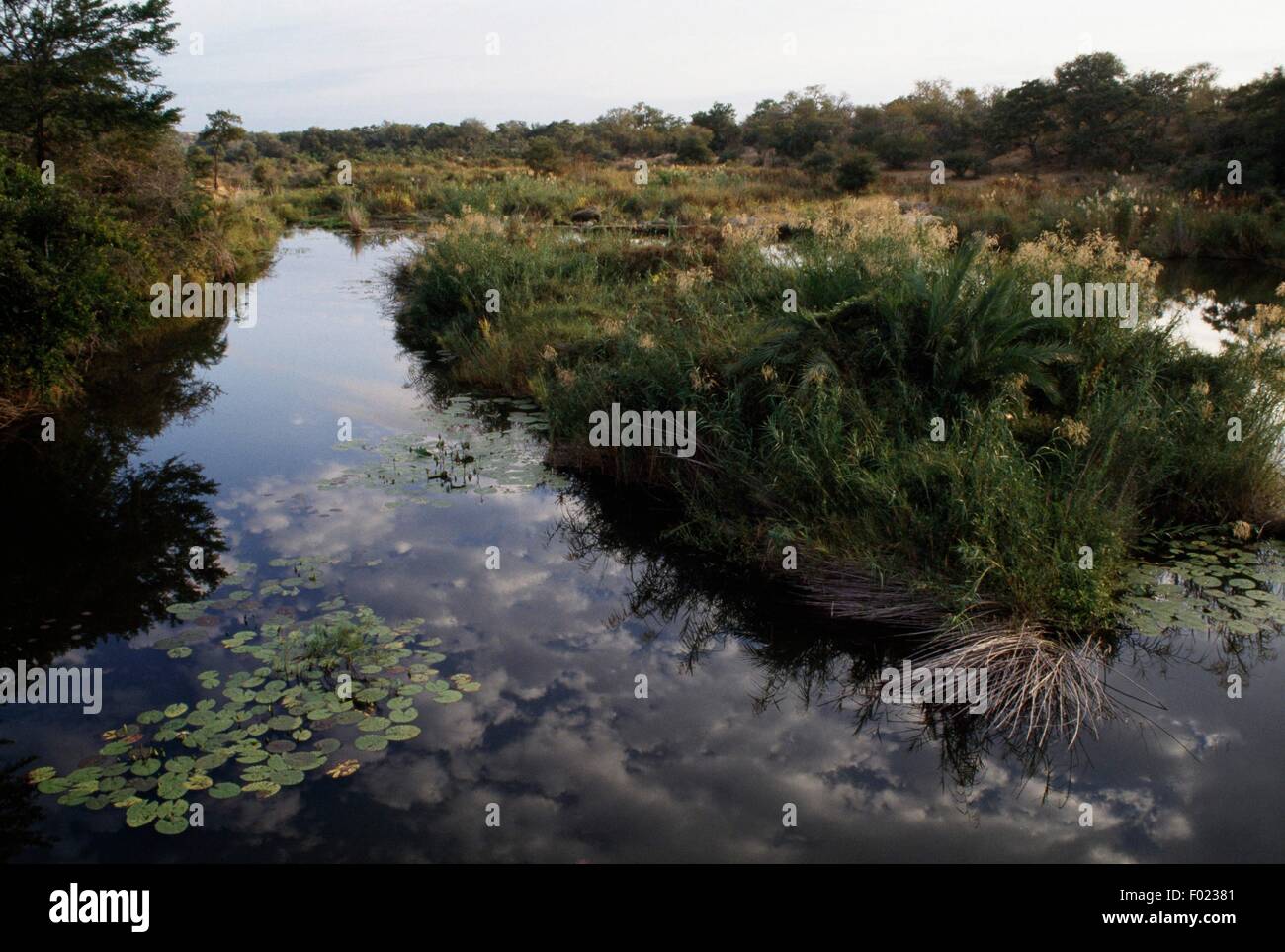 Nlaralumi hi-res stock photography and images - Alamy