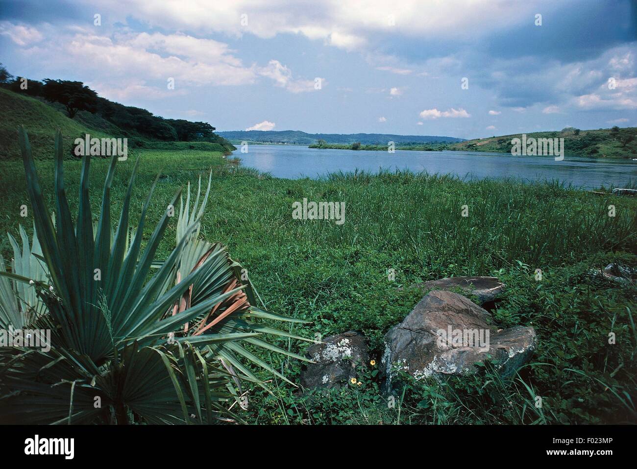 The source of the Nile River, Lake Victoria, Jinja, Uganda Stock Photo ...
