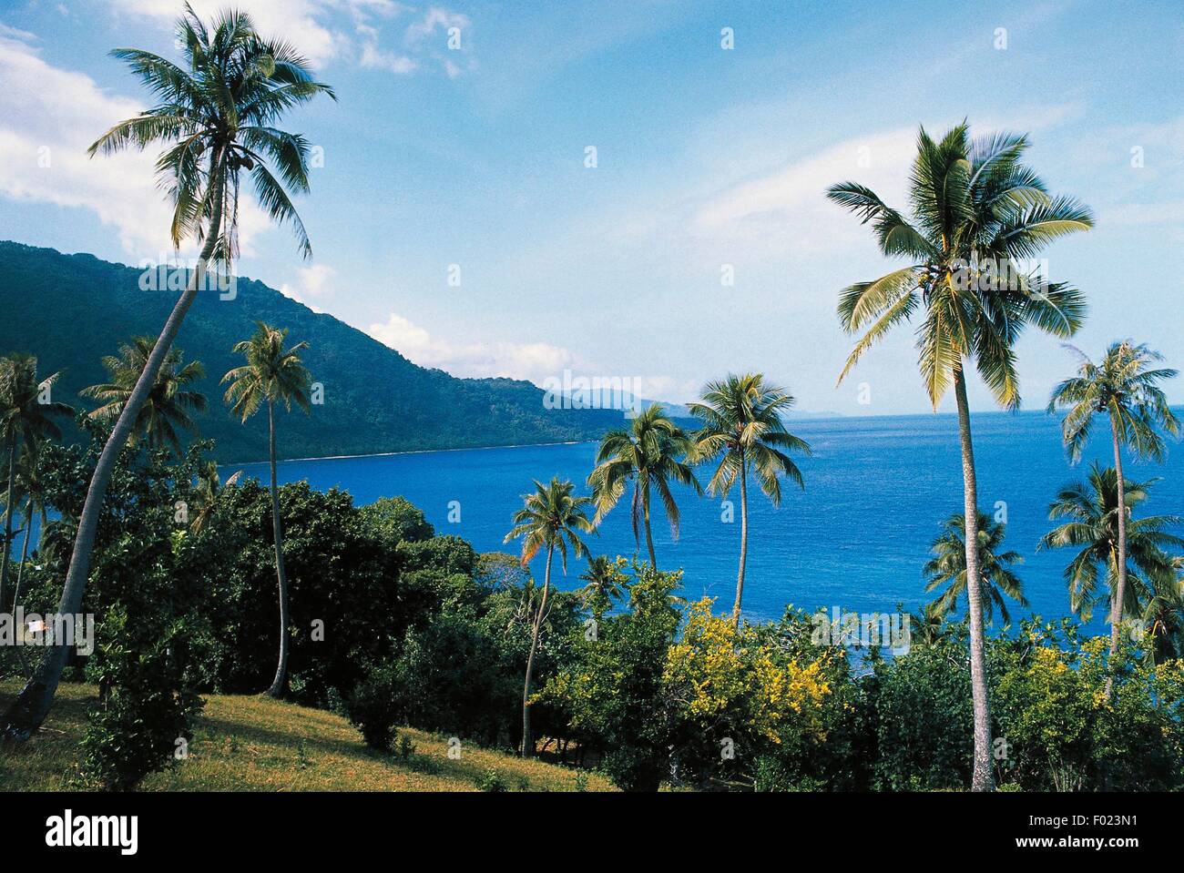 The coastline near Melsisi, Pentecost Island, Vanuatu Stock Photo - Alamy