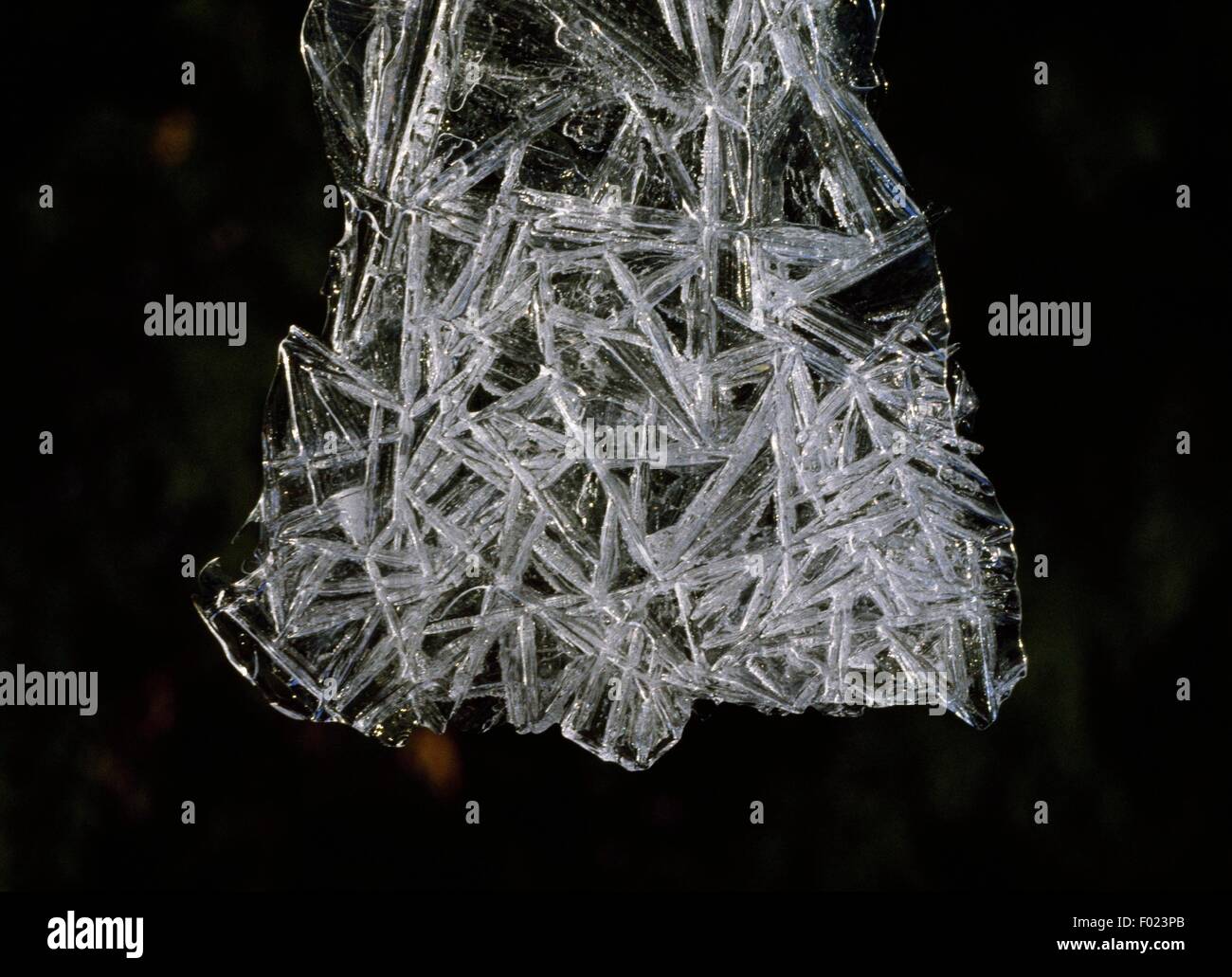 Needle-shaped ice crystals Stock Photo - Alamy
