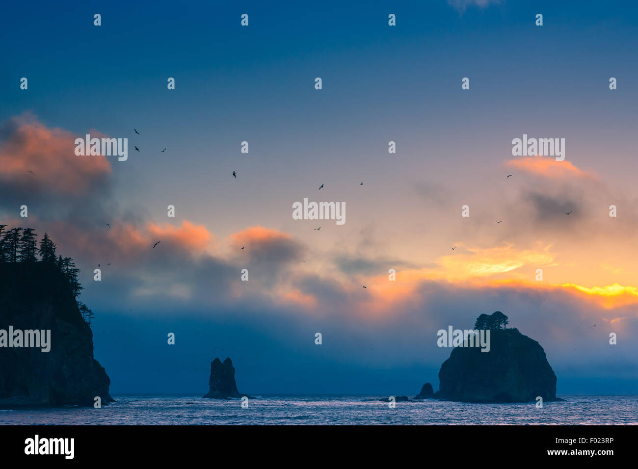 Washington state coast sunset hi-res stock photography and images - Alamy