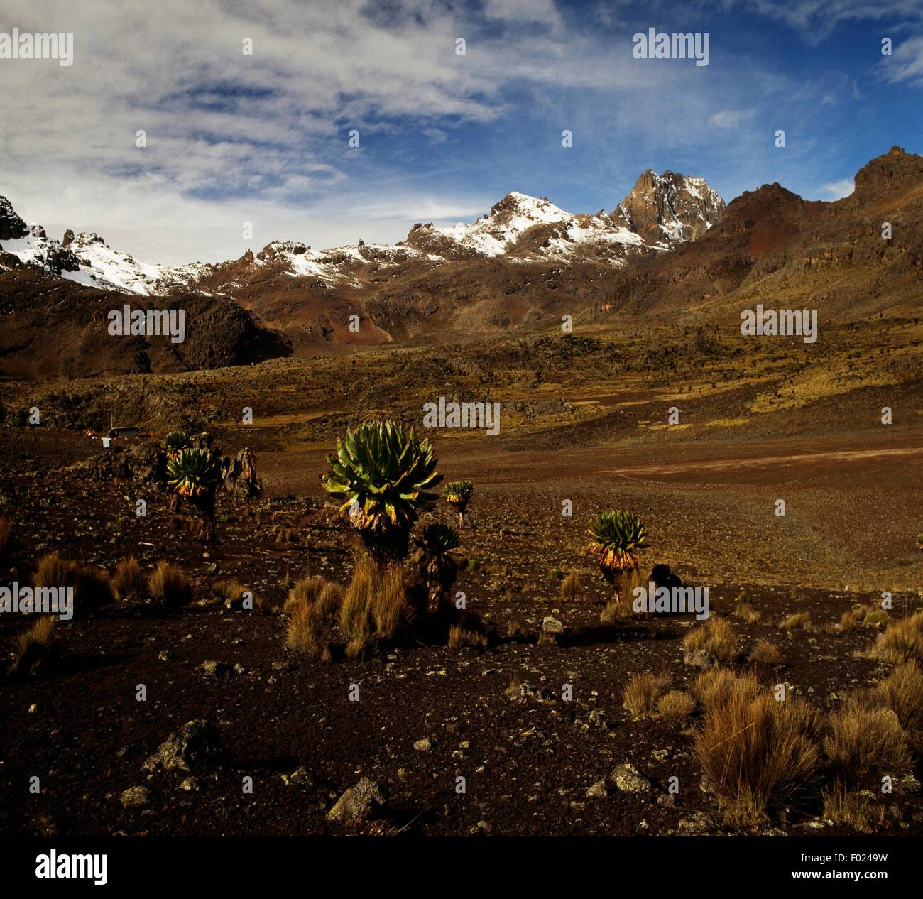 Georges Valley and the peaks of Lenana, Elion and Batian, Mount Kenya ...