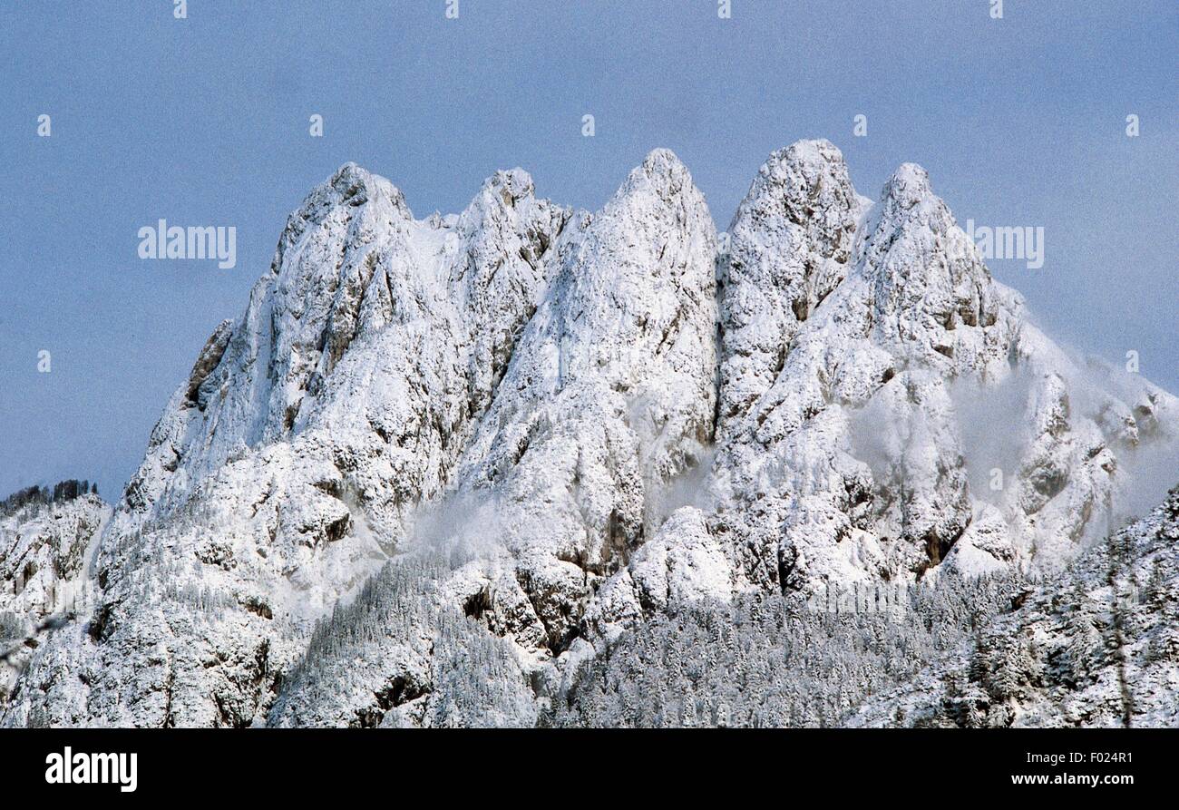 Monti Cinque Punte, Tarvisio forests, Friuli-Venezia Giulia, Italy ...