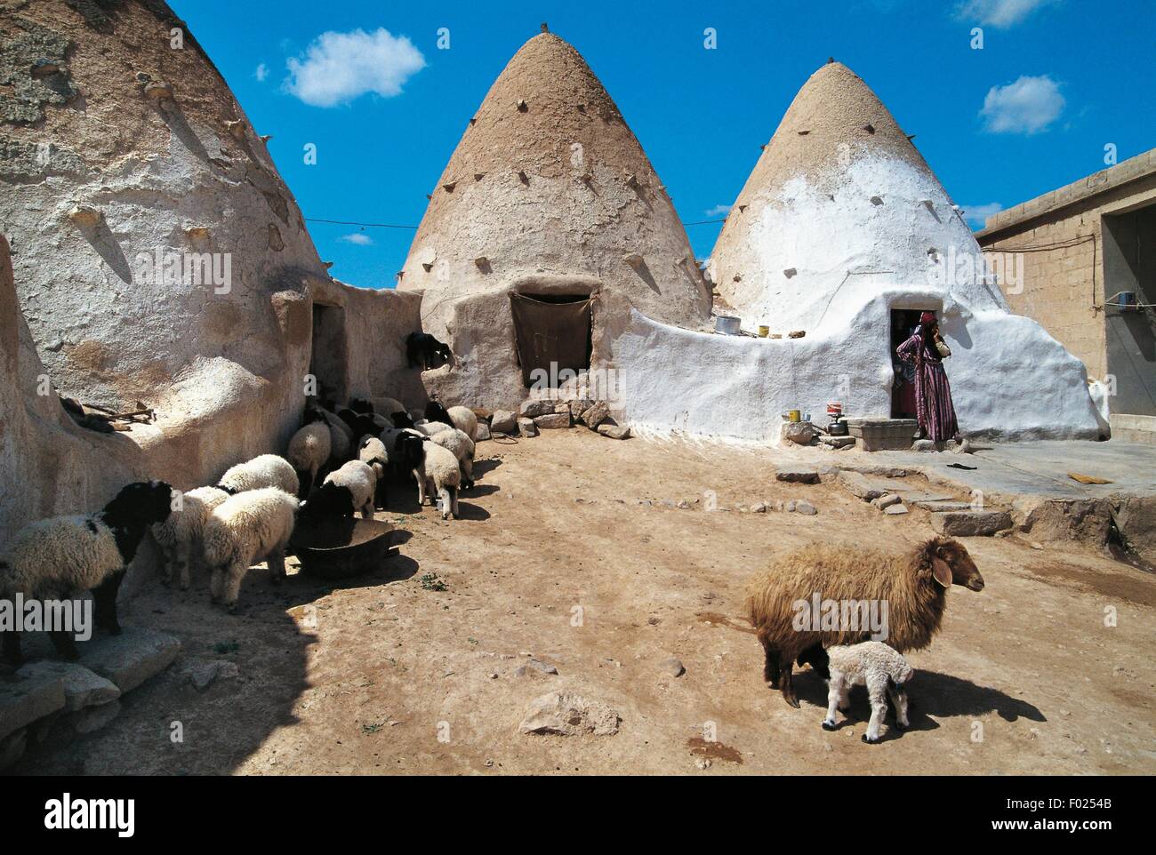 Mud houses in the Druze village of Sarouj, near Hama, Syria Stock Photo ...