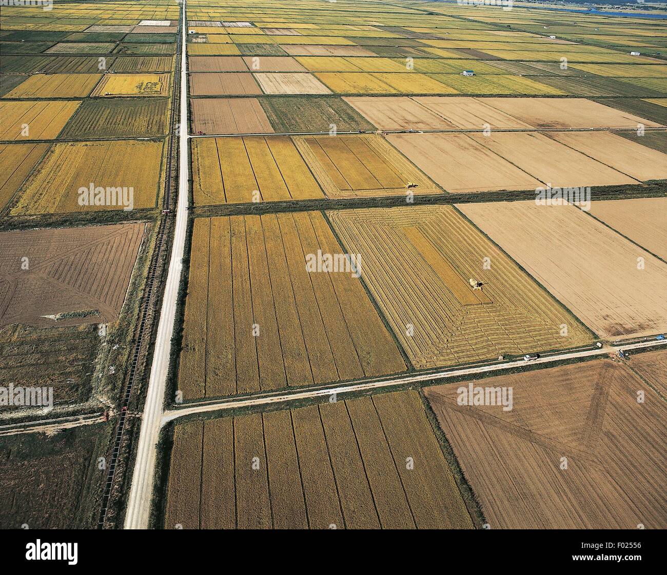 Aerial view of rice fields near Hachirogata - Honshu Island, Akita ...
