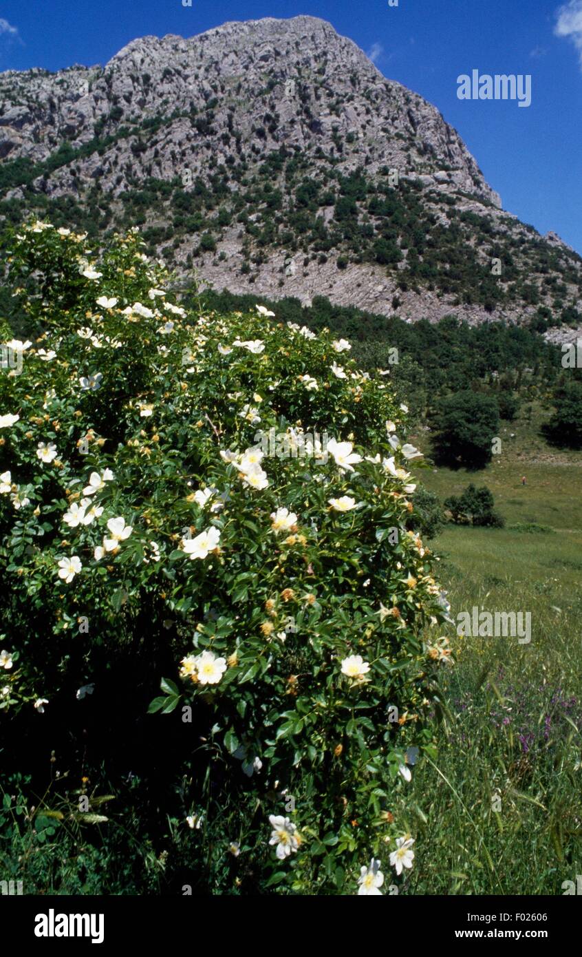 Landscape around the Sanctuary of the Madonna delle Armi towards San ...