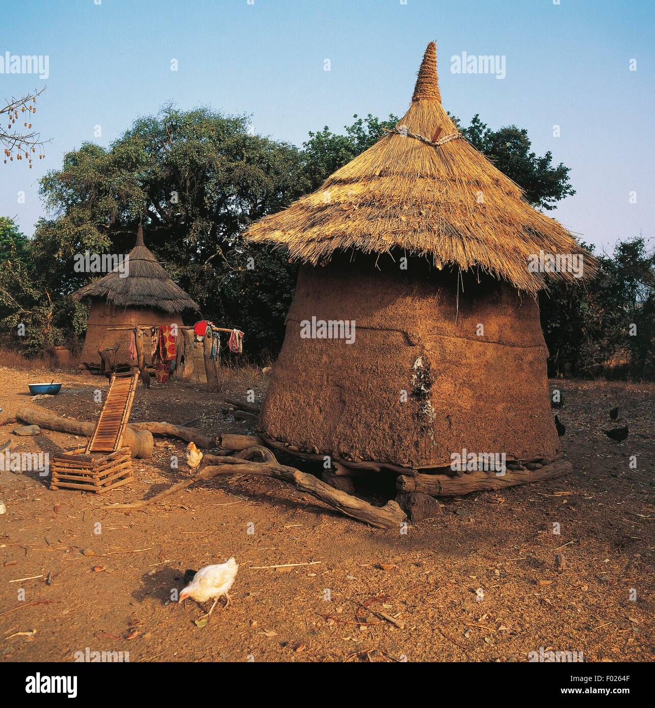 Lobi High Resolution Stock Photography and Images - Alamy