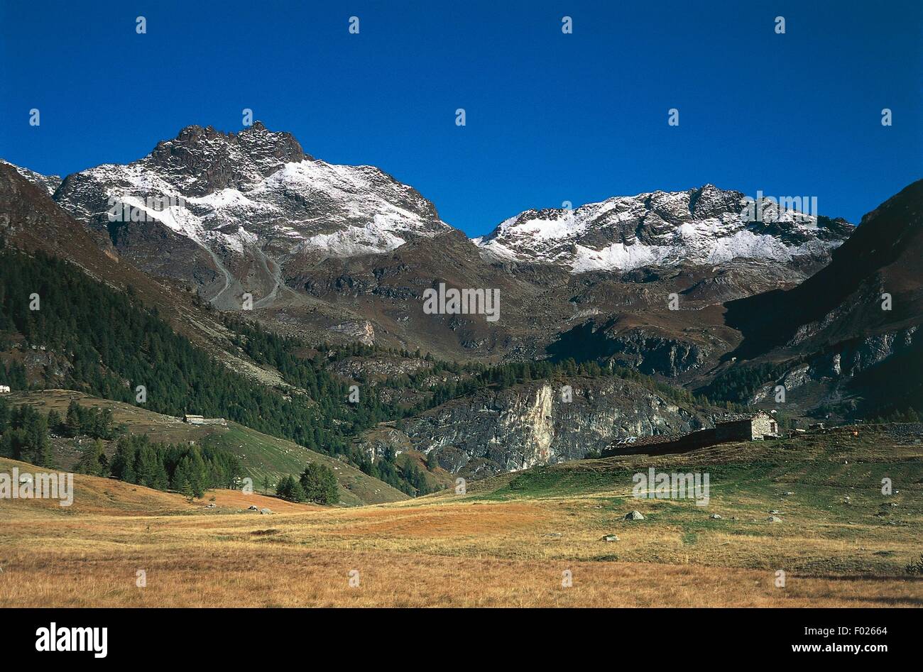 Tzan hi-res stock photography and images - Alamy