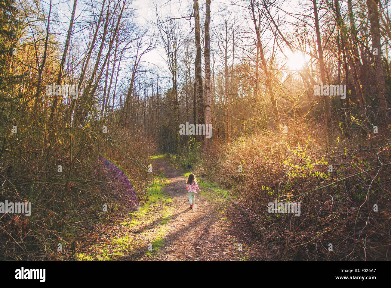 Rear view of girl running through the woods Stock Photo - Alamy