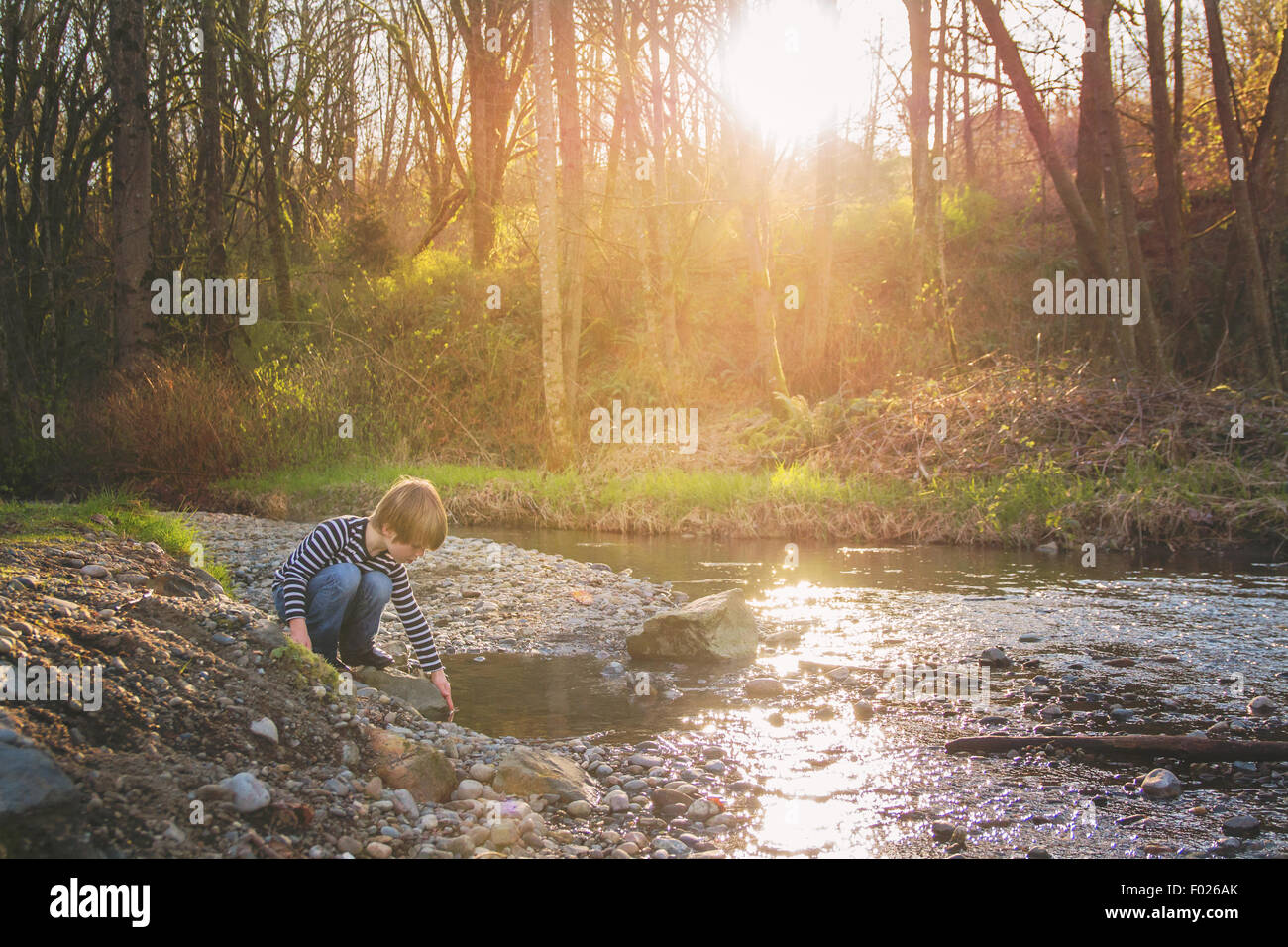 Boy looking at sunset hi-res stock photography and images - Alamy