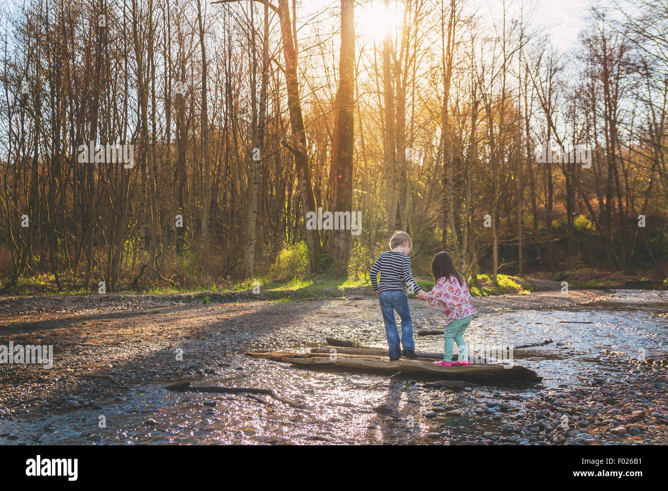 Log crossing hi-res stock photography and images - Alamy