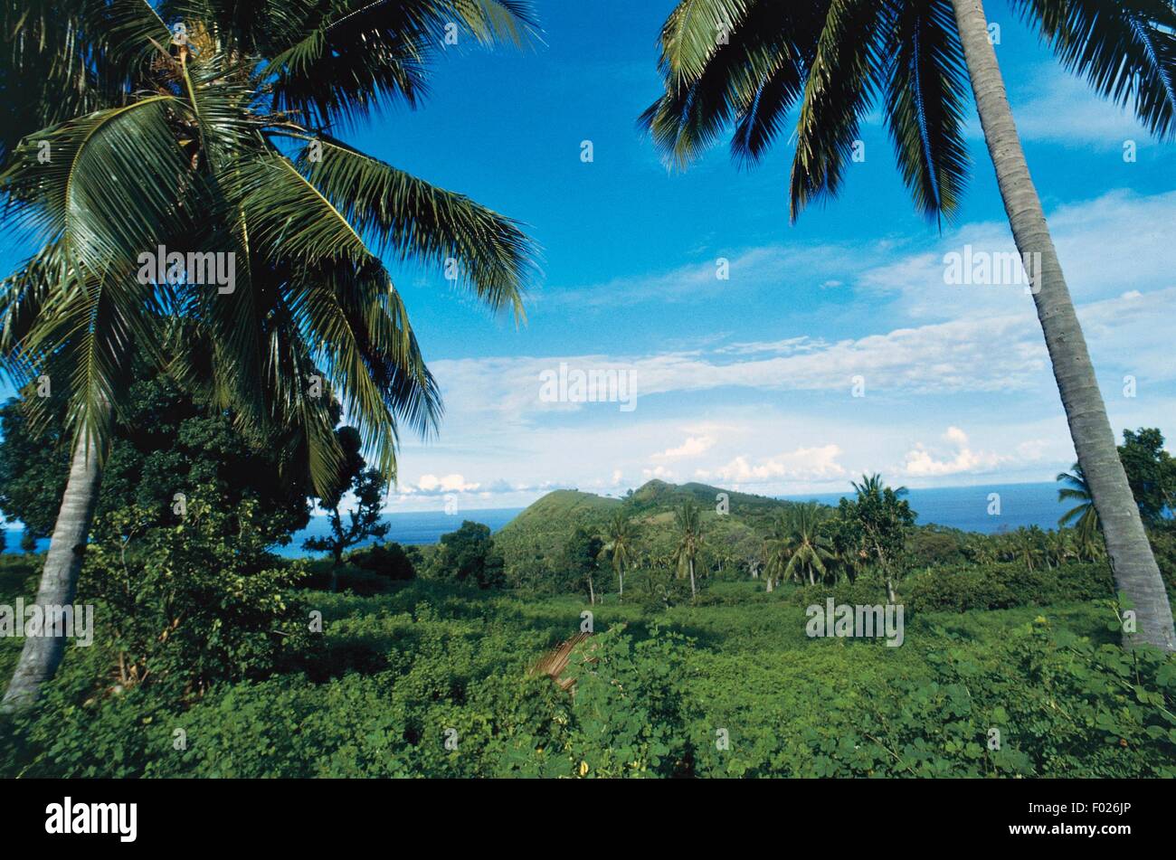 Comoros ecology hi-res stock photography and images - Alamy