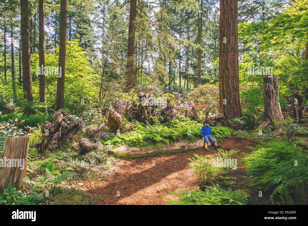 Children sitting on a log hi-res stock photography and images - Alamy