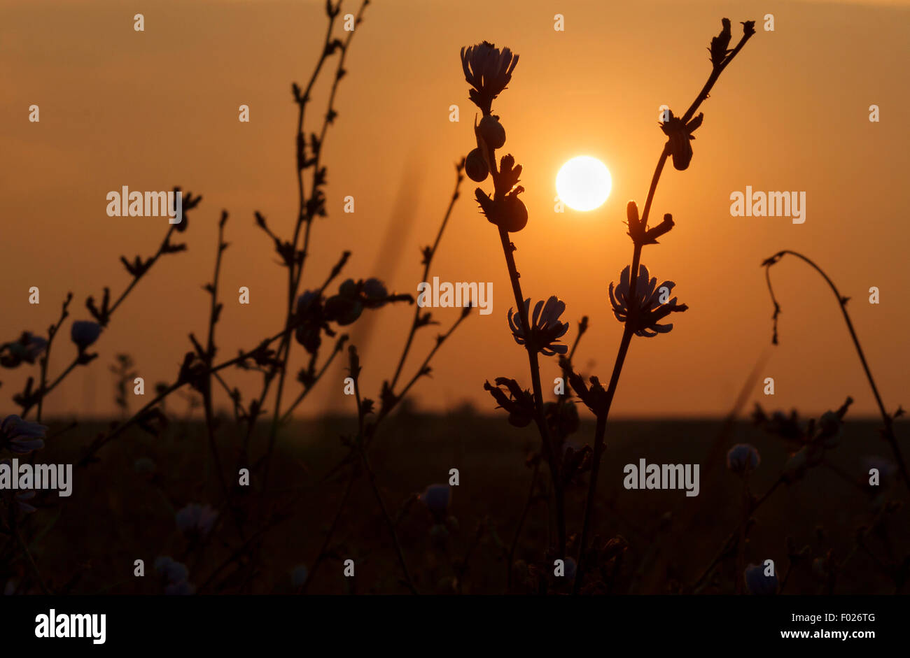 Rising sun country hi-res stock photography and images - Alamy