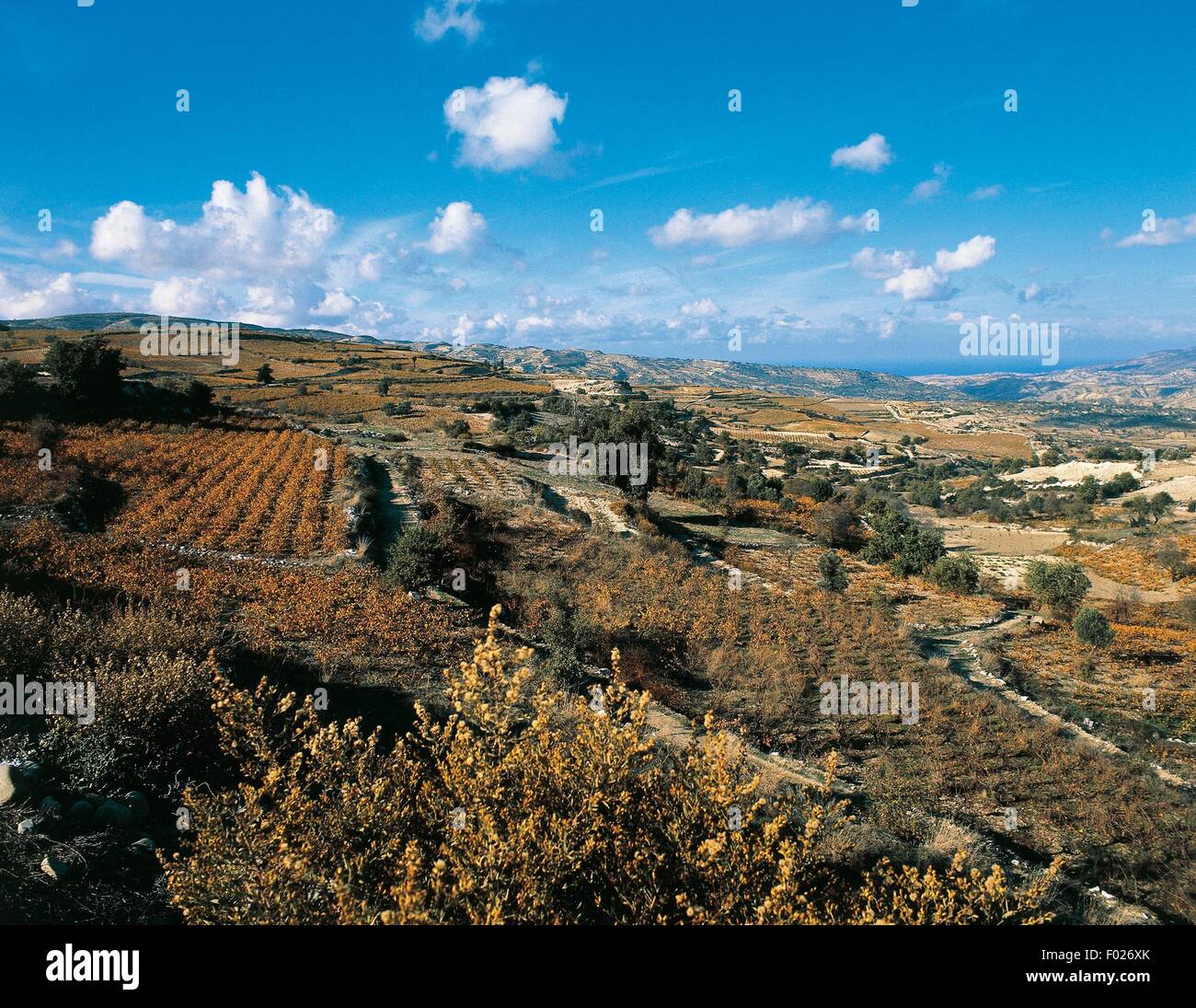 Crops and landscape, Cyprus Stock Photo - Alamy