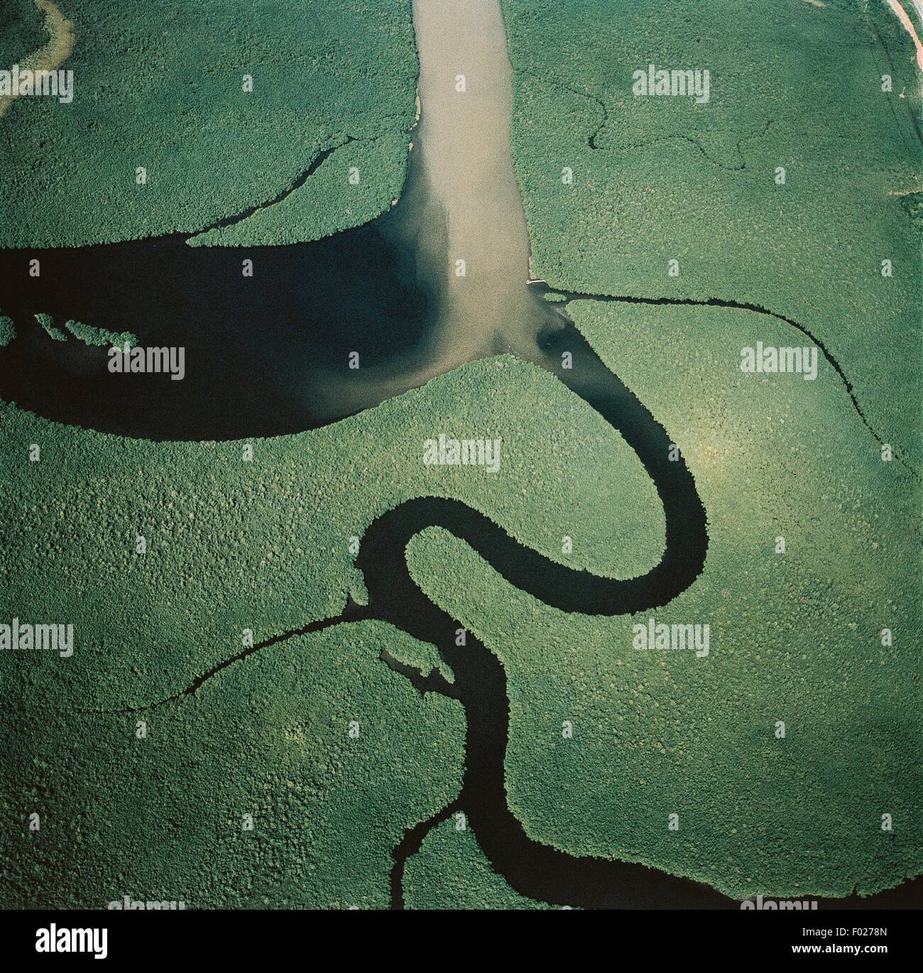 Aerial view of an Amazon River tributary, Amazon rainforest (Amazonia ...