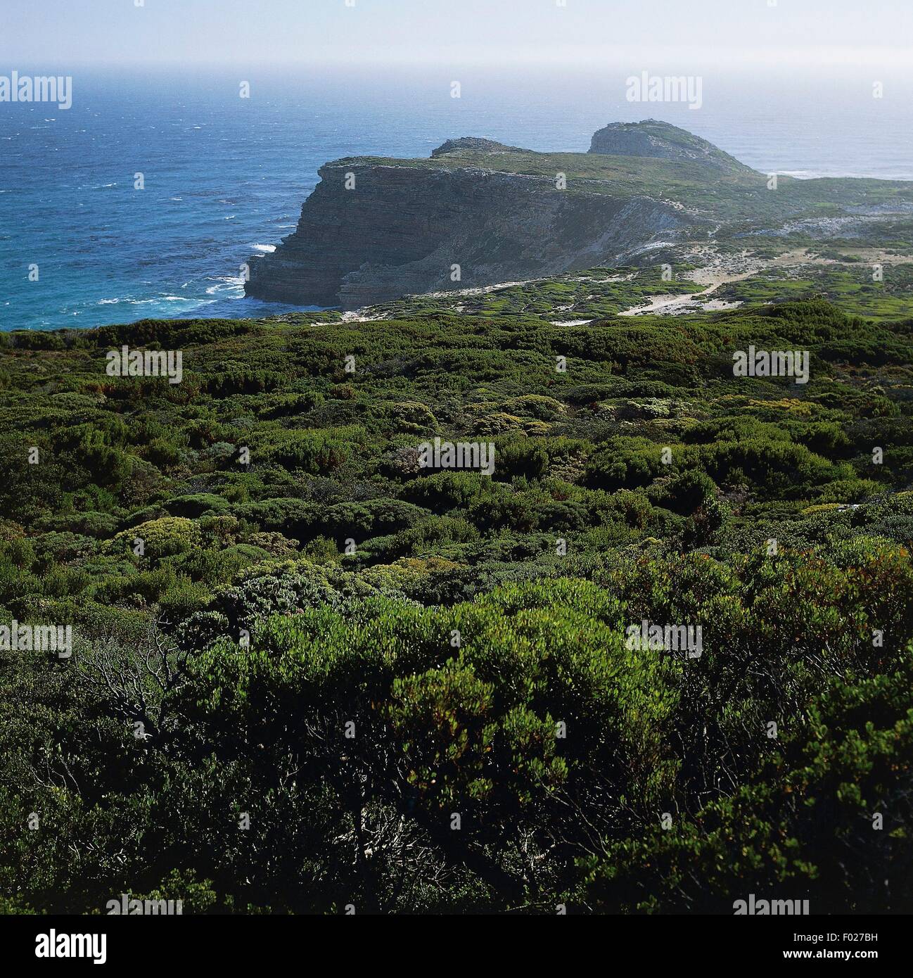 Cape Floral Region Protected Areas