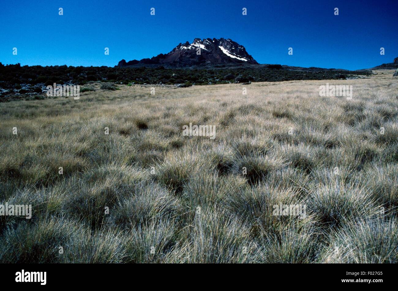 Mount Mawenzi (5149 metres), volcanic cone of Mount Kilimanjaro ...