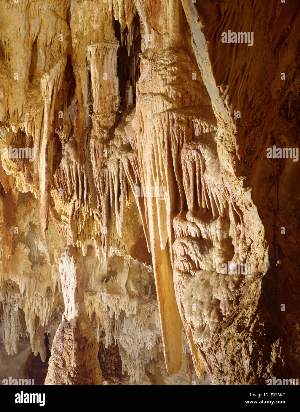 Stalactites and column, Toirano Caves, Liguria, Italy Stock Photo - Alamy