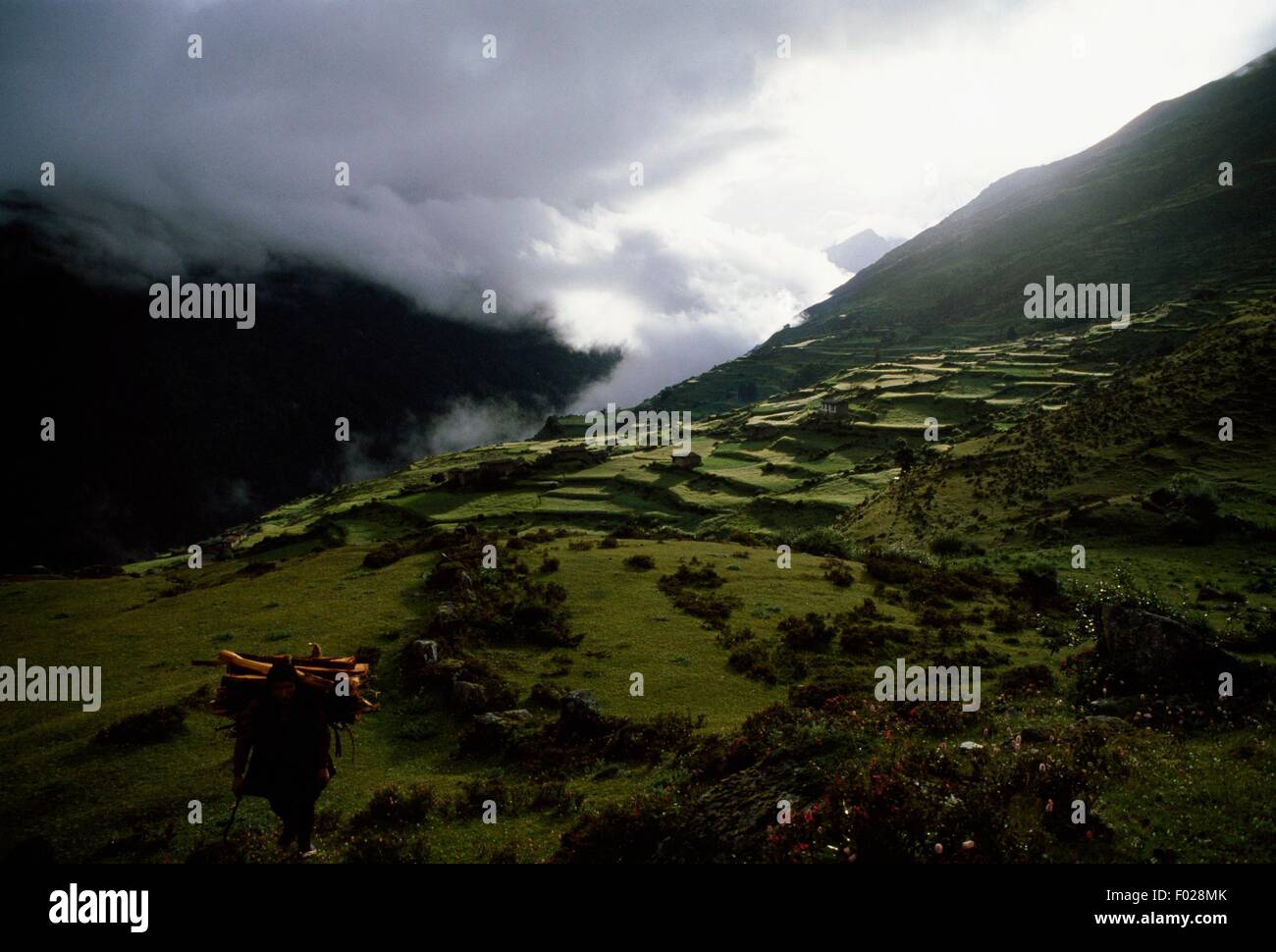 Low clouds over the landscape of Laya region, Bhutan Stock Photo - Alamy