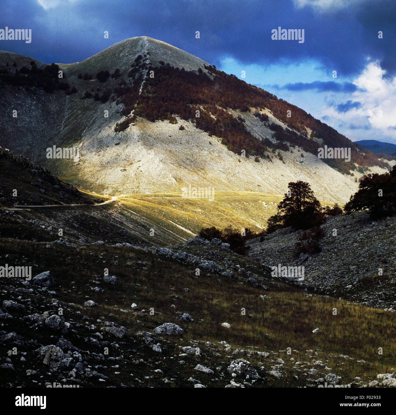 Stazzo of Ziomas, Abruzzo, Lazio and Molise National Park, Abruzzo ...