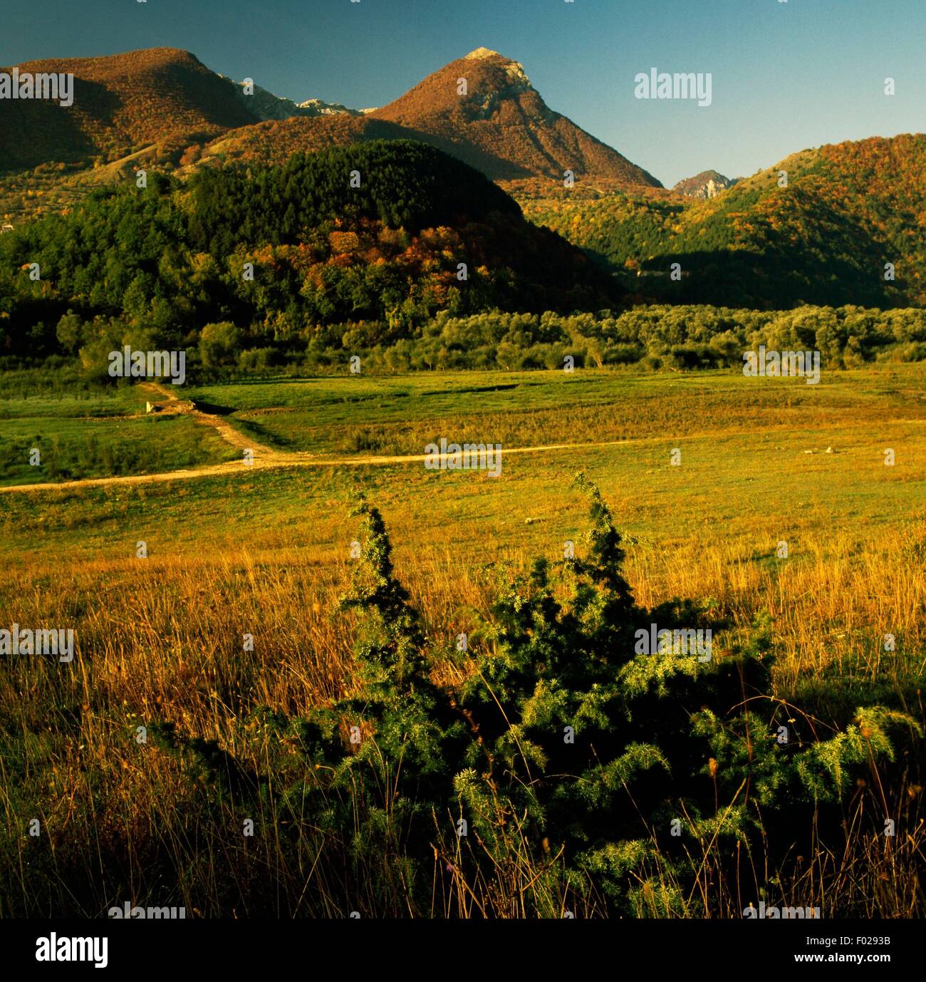 Sterpi dalto hi-res stock photography and images - Alamy