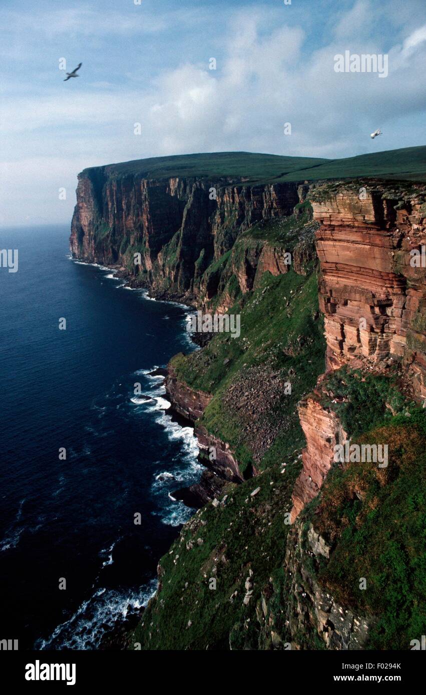 The cliffs overlooking the sea on the Isle of Hoy, Orkney Islands ...
