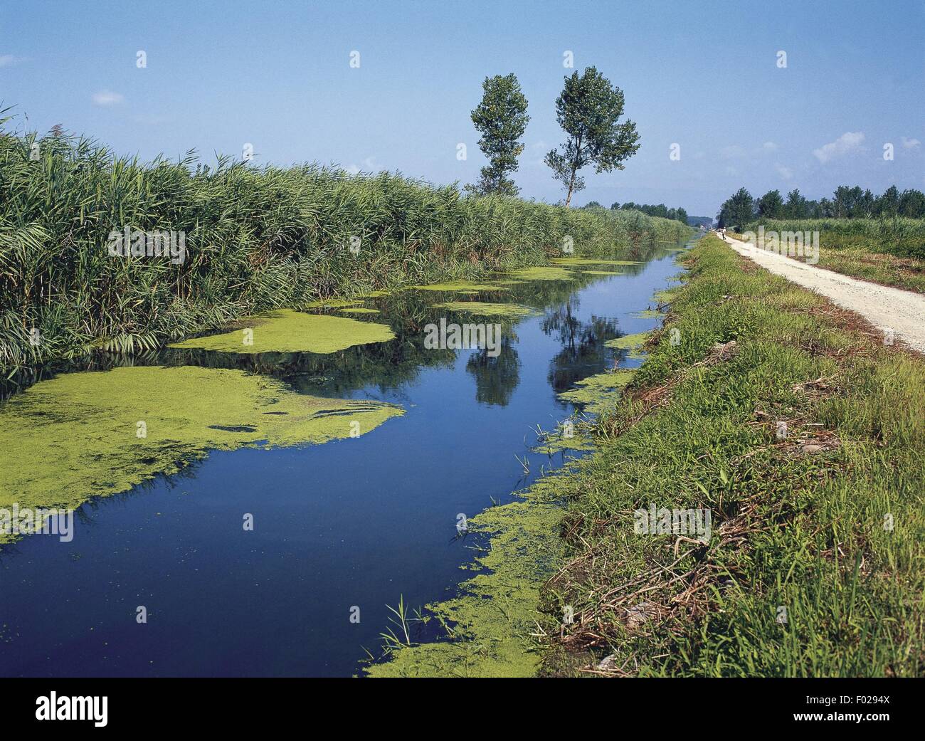 Stream flowing through a landscape - Italy - Tuscany Region - Canal in ...