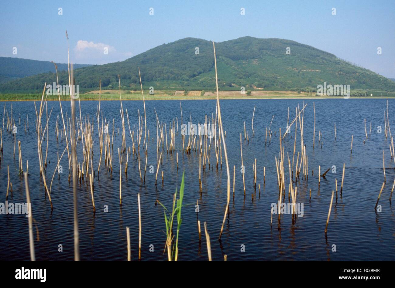 Vico Lake, Lazio, Italy Stock Photo - Alamy