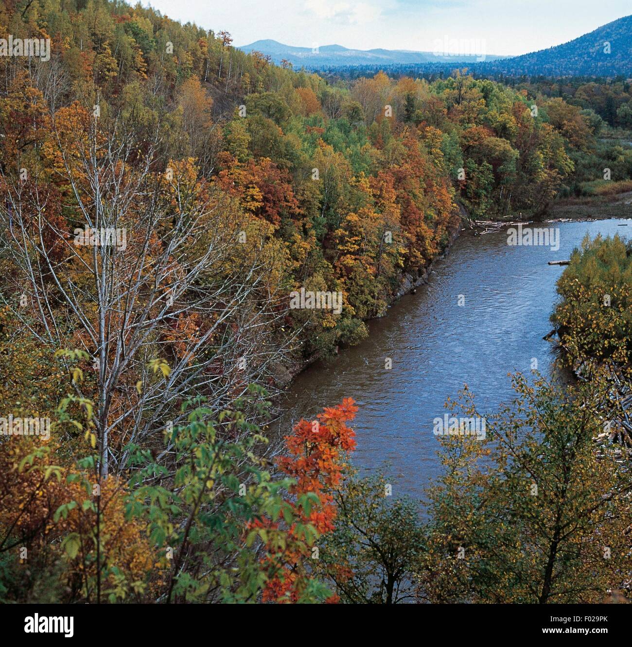 Primorye High Resolution Stock Photography and Images - Alamy