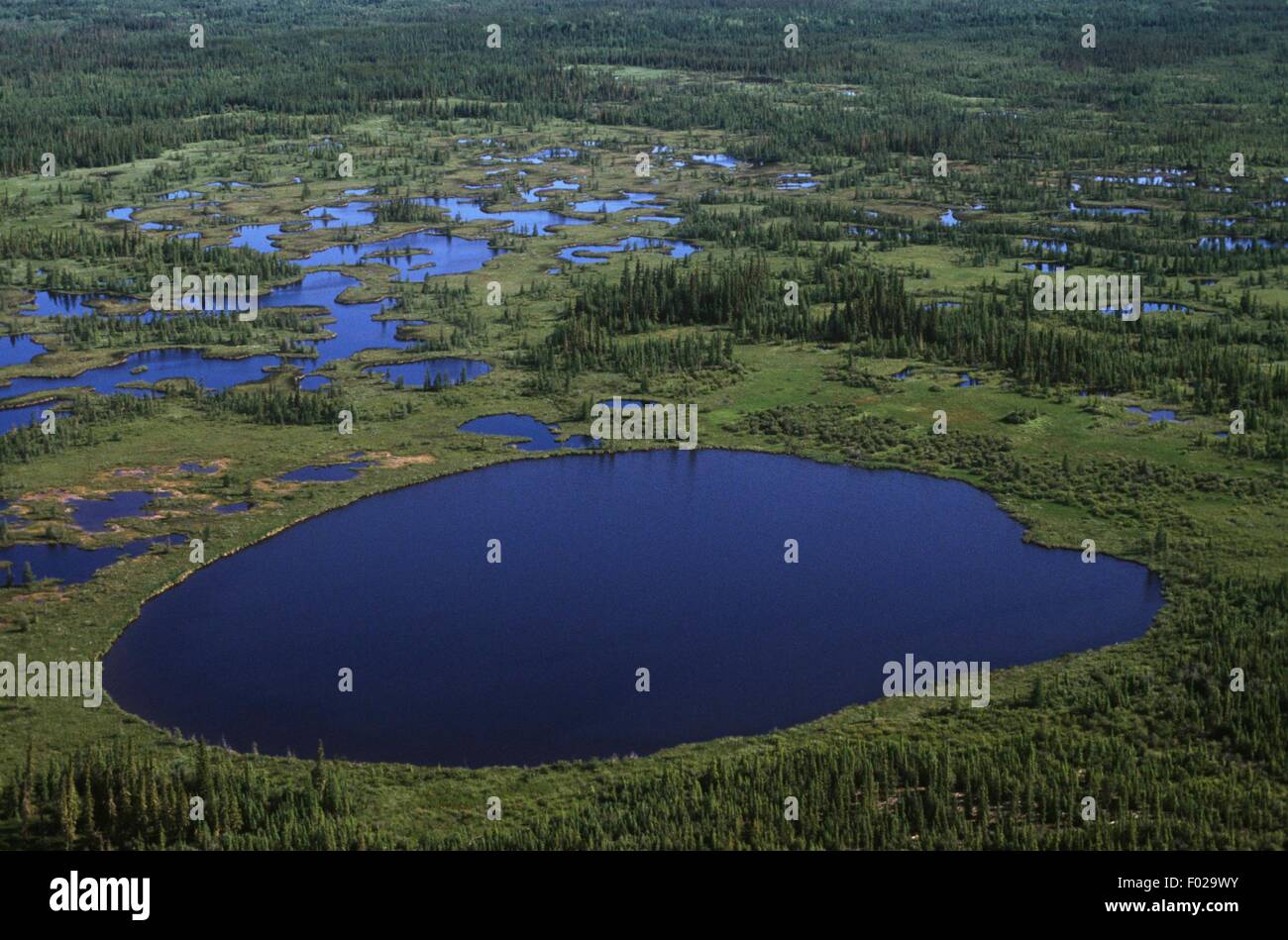 Aerial of wood buffalo national park hi-res stock photography and ...
