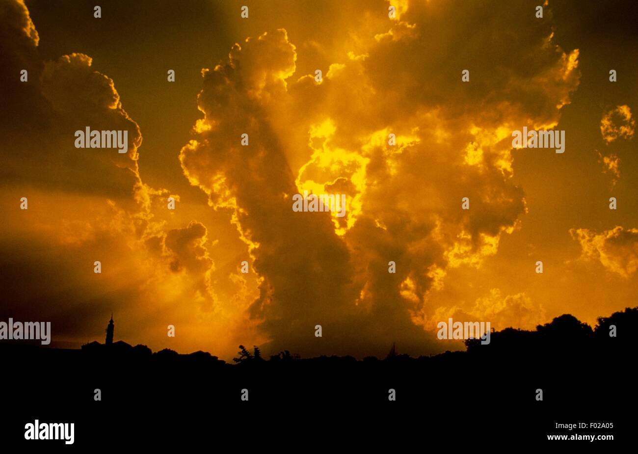 Fire like hi-res stock photography and images - Alamy